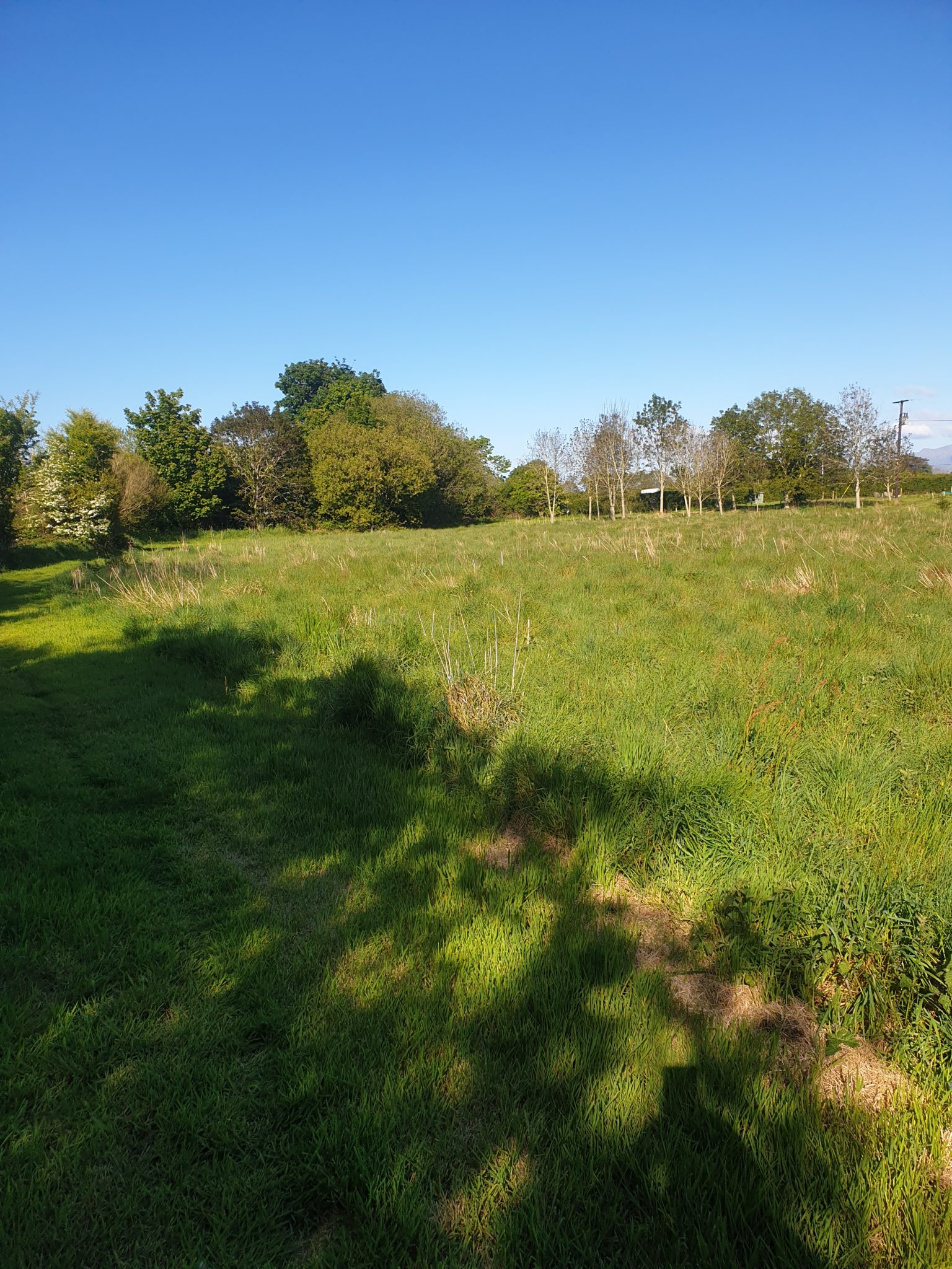 The Oyster Farm Caravan Site – Menai Oysters and Mussels Ltd