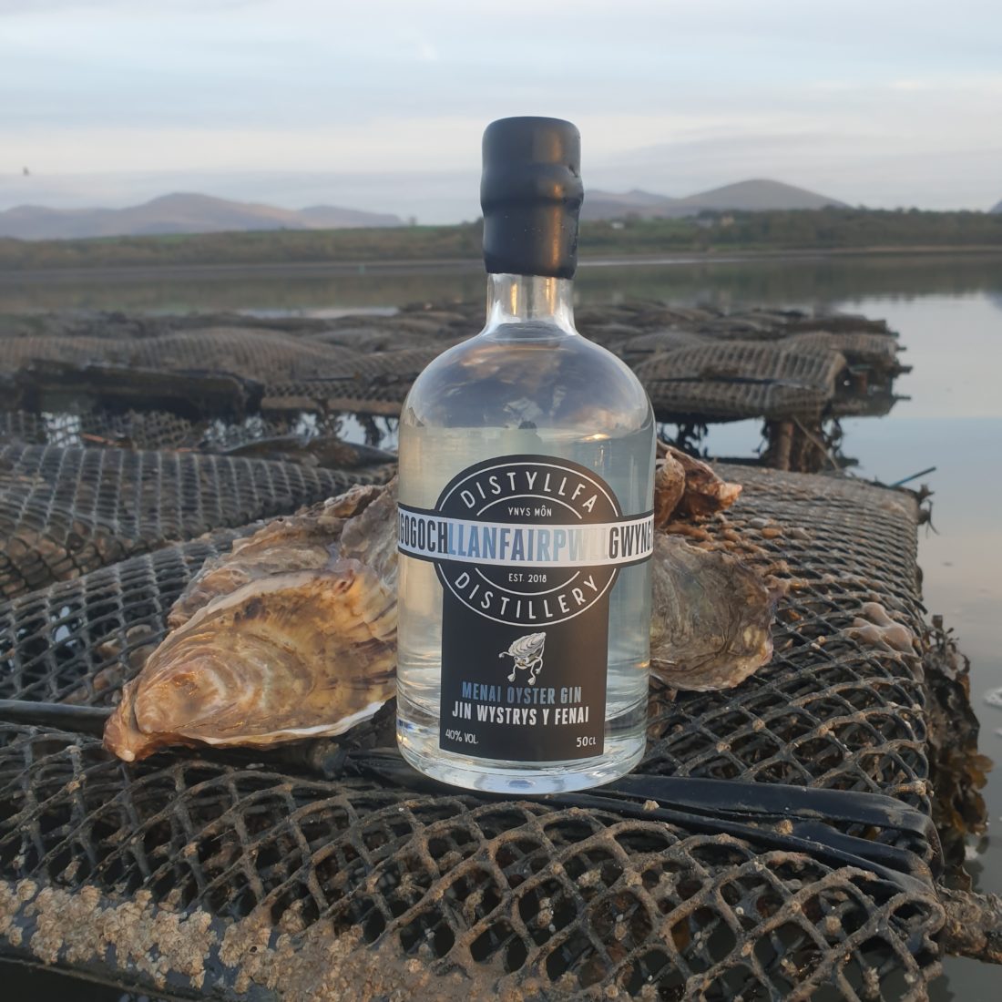 Shop – Menai Oysters and Mussels Ltd